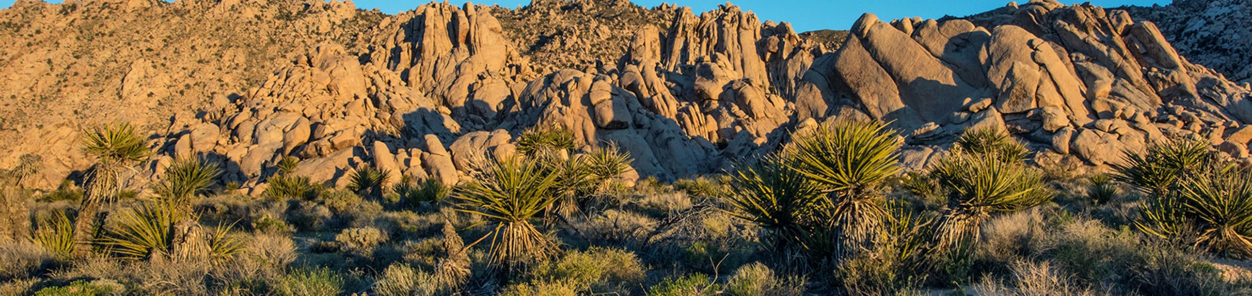 Bibliographical Database | UCR Natural Reserves